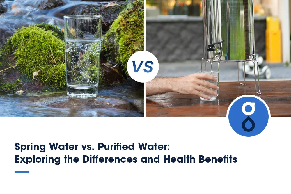 Purified vs spring water store