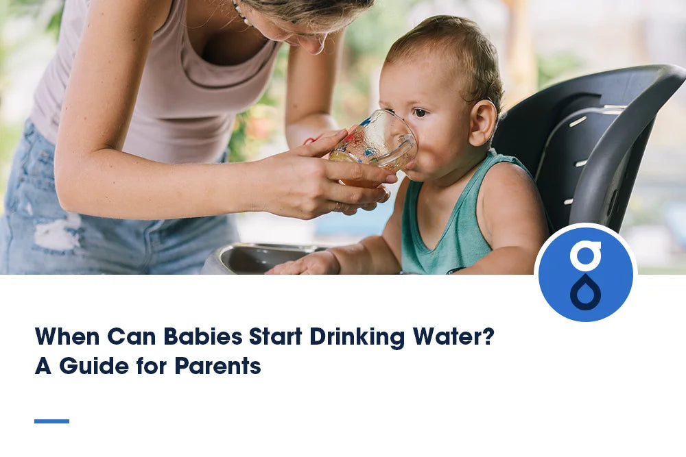 Water for Infants: When to Introduce It and What to Use!